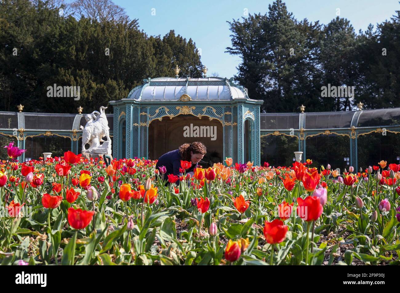 Hannah lucas hi-res stock photography and images - Alamy