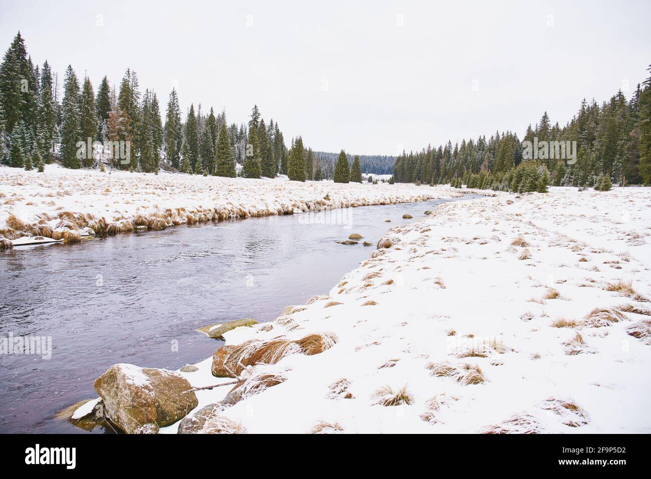 Modrava river scenery hi-res stock photography and images - Alamy