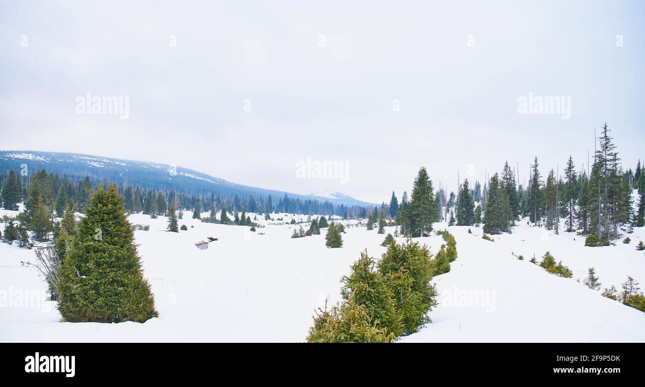 Modrava river scenery hi-res stock photography and images - Alamy