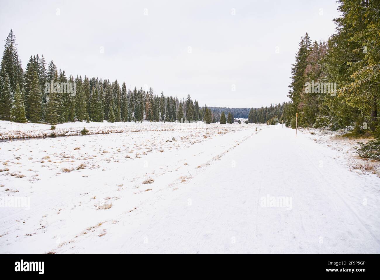 Modrava river scenery hi-res stock photography and images - Alamy
