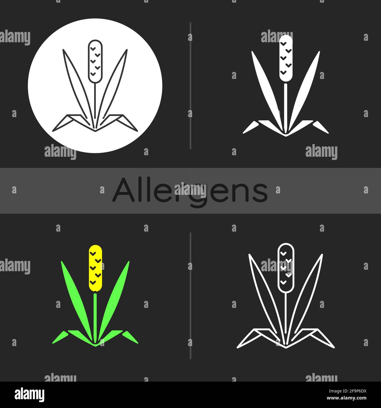 Timothy grass dark theme icon Stock Vector Image & Art - Alamy
