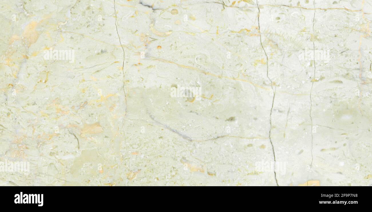 off white color natural marble design with polished finish with golden ...