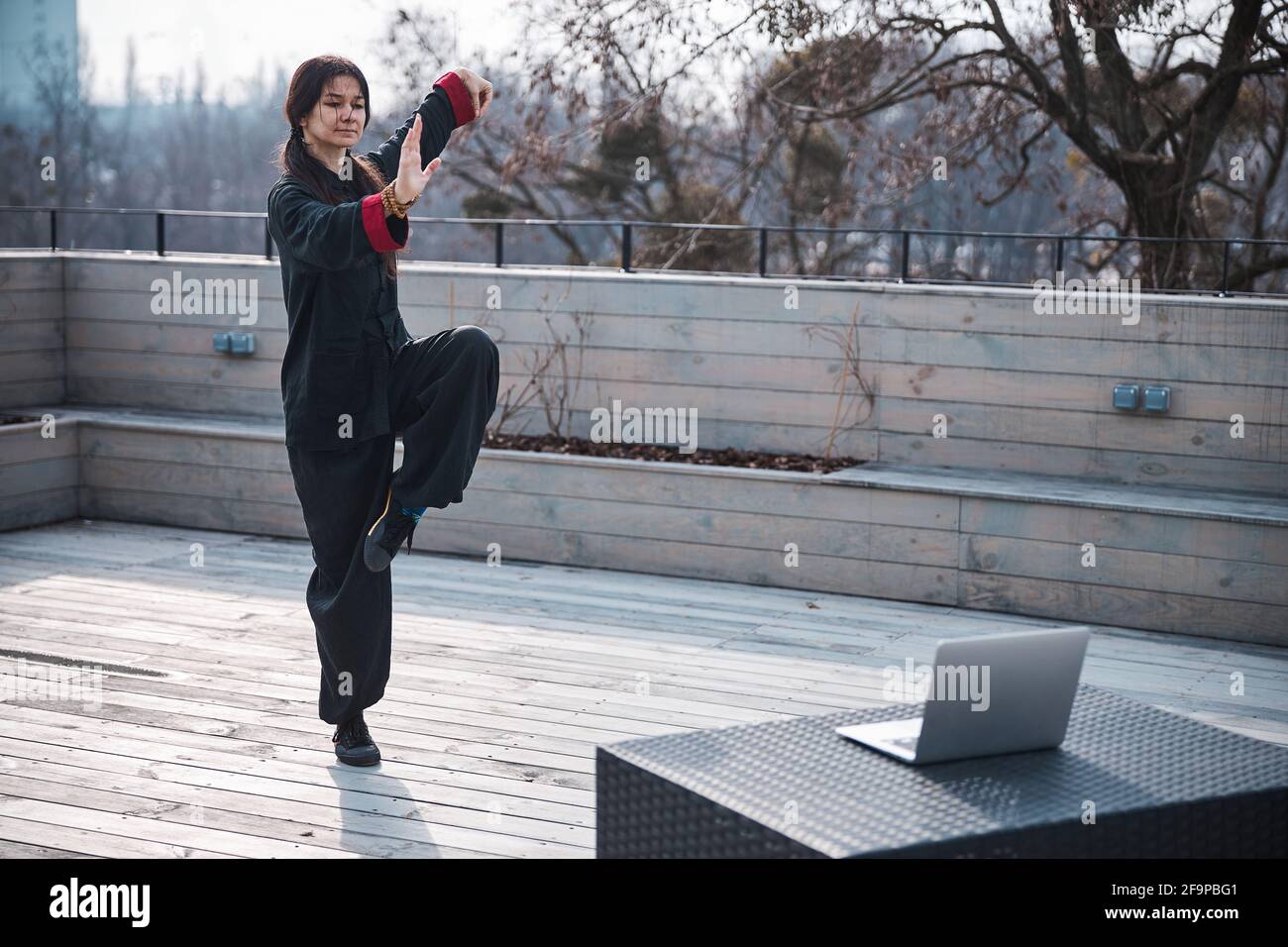 Wushu stance hi-res stock photography and images - Alamy
