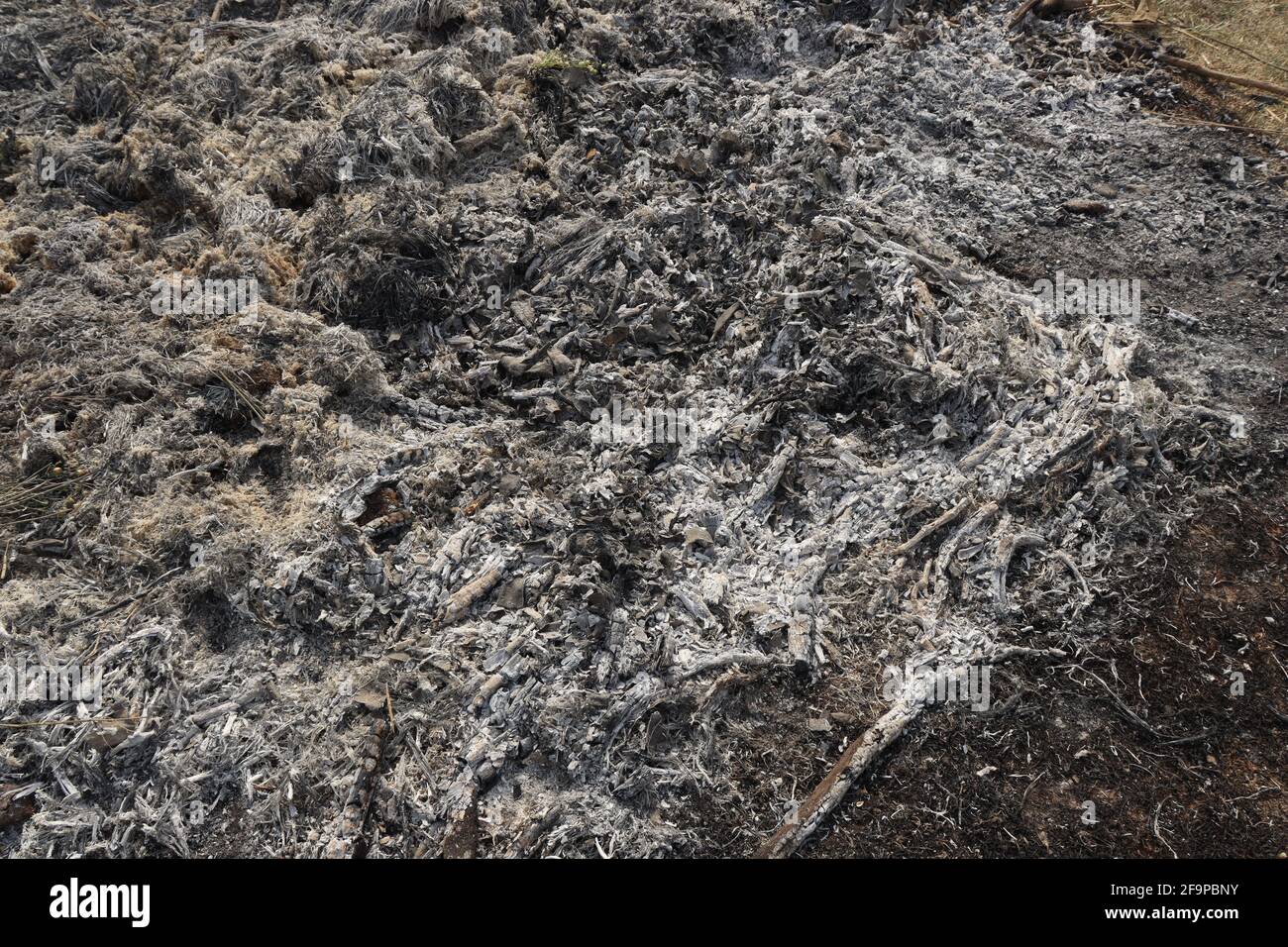 Closeup of a burnt area on the ground Stock Photo - Alamy