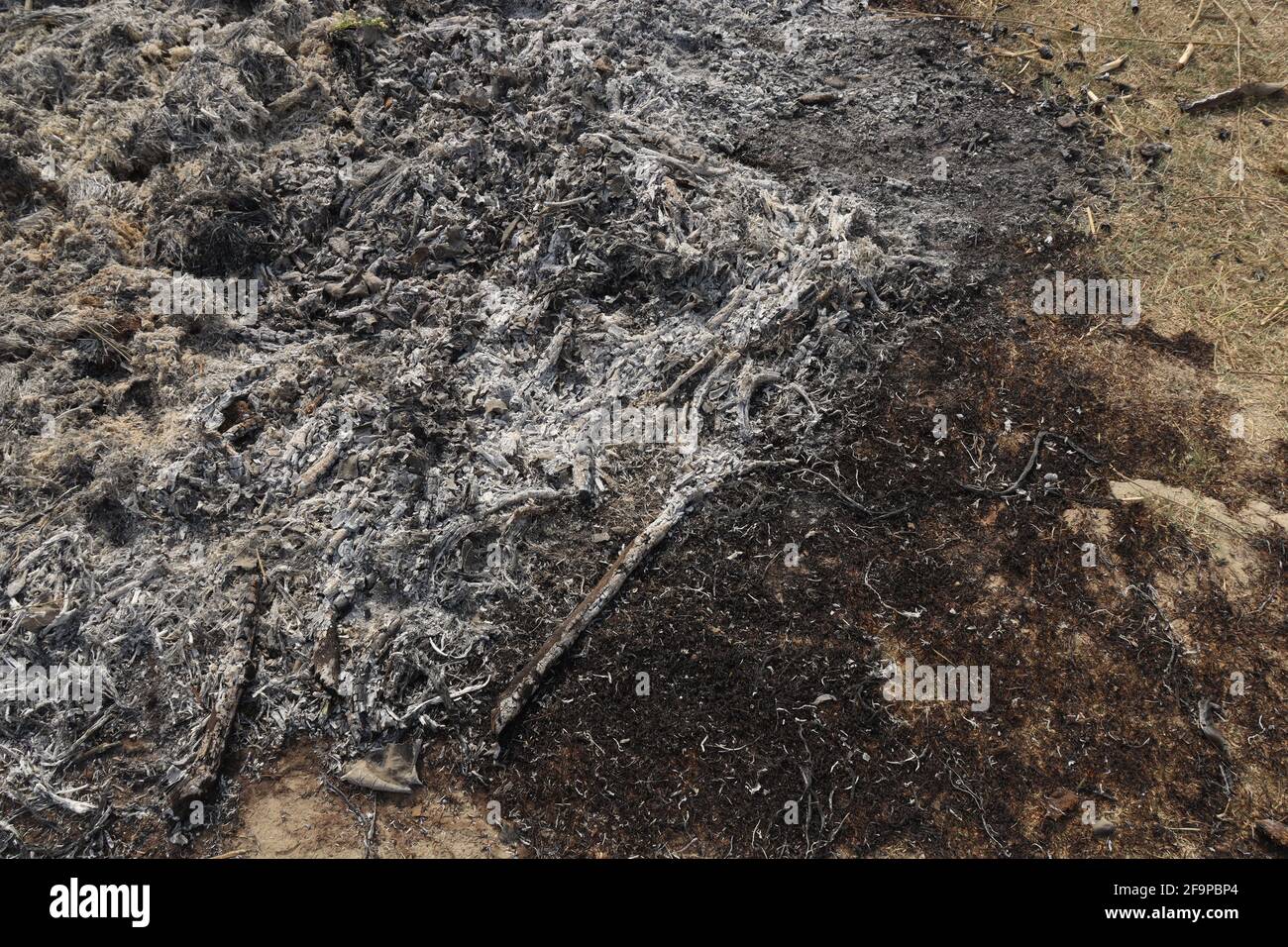 Closeup of a burnt area on the ground Stock Photo - Alamy