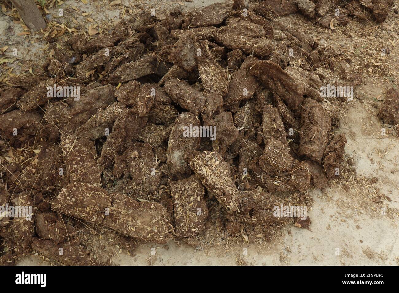 Closeup of blocks of dried soil in the farm Stock Photo - Alamy