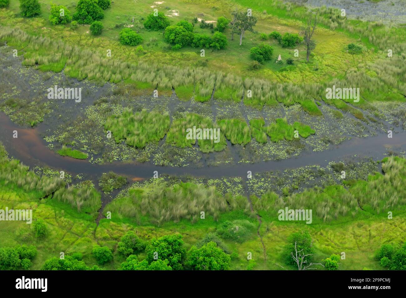 Aerial landscape in Okavango delta, Botswana. Lakes and rivers, view ...
