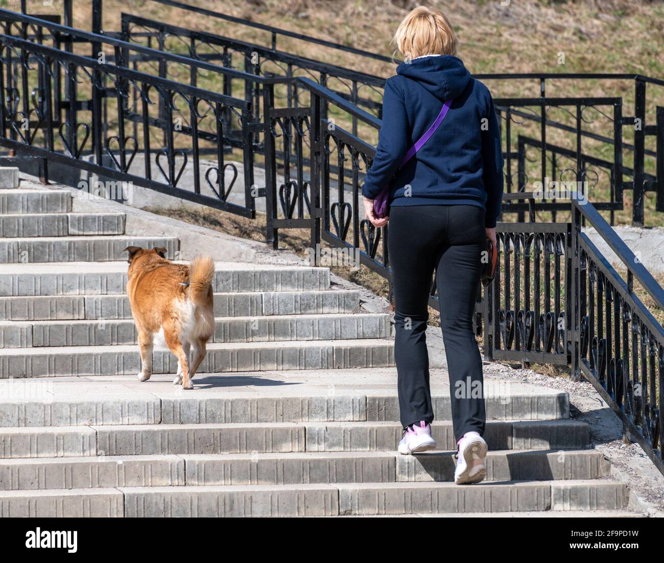 The Woman walking with big red dog Stock Photo - Alamy