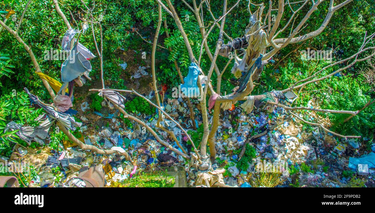 tree surrounded by garbage in italian city naples Stock Photo - Alamy