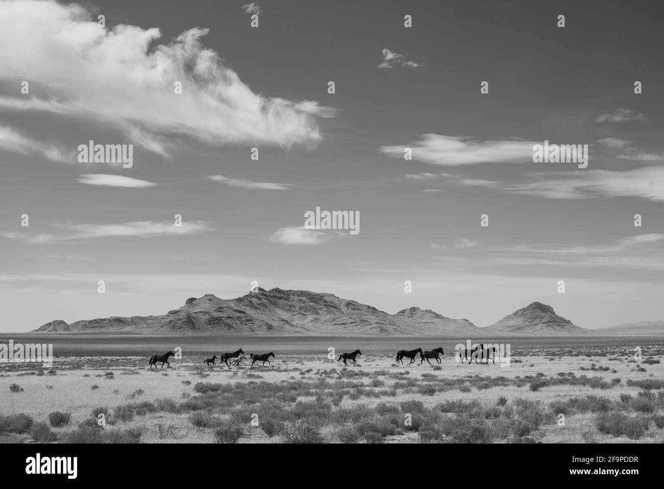 Across desert Black and White Stock Photos & Images - Alamy