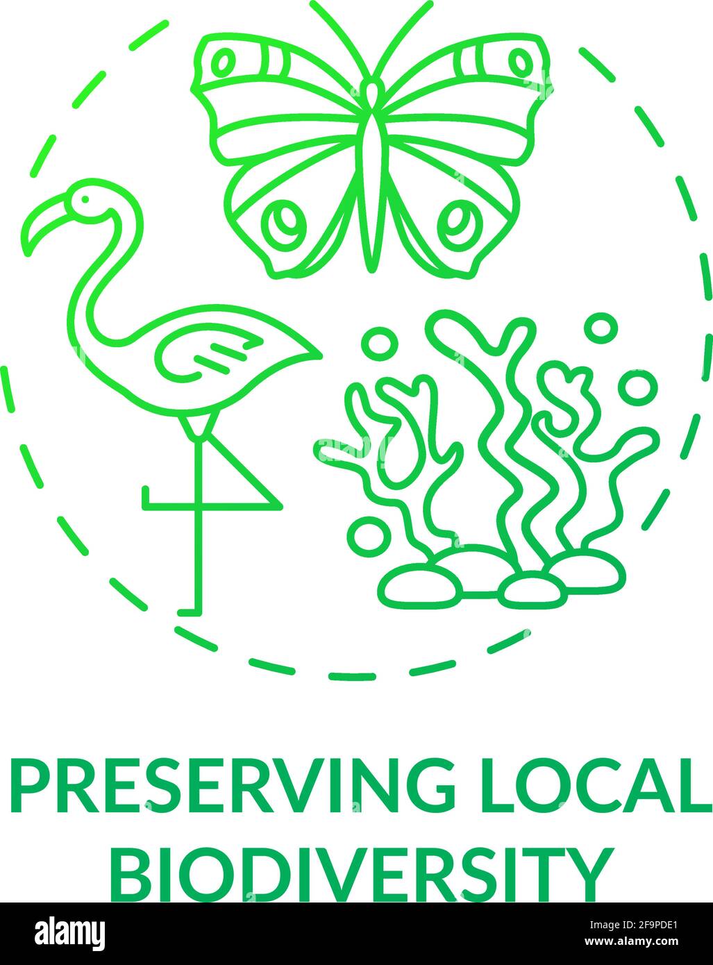 Garden biodiversity Stock Vector Images - Alamy