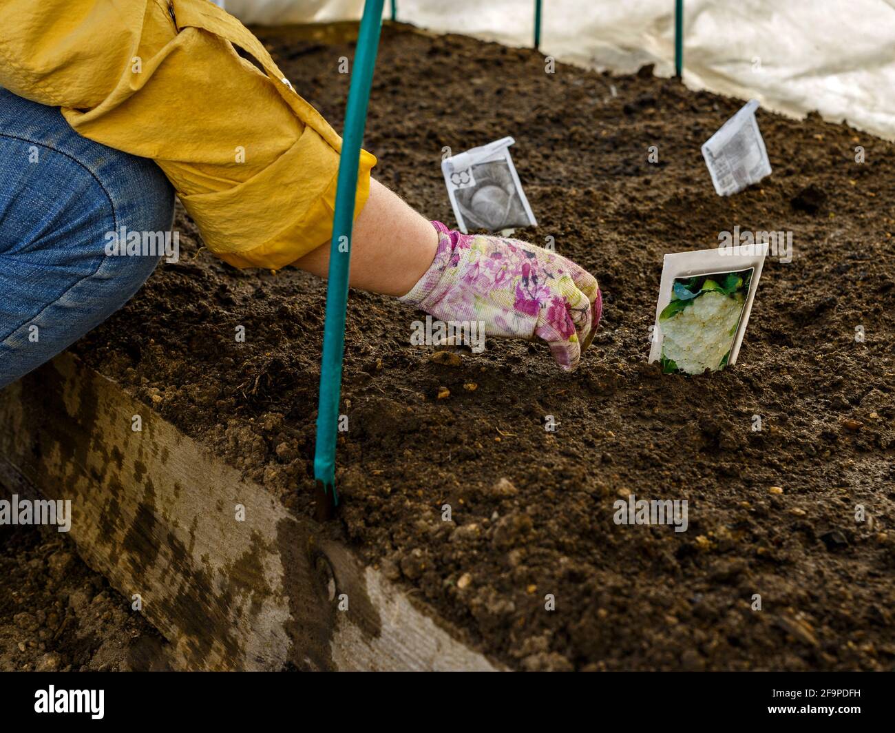 Loose soil hi-res stock photography and images - Alamy