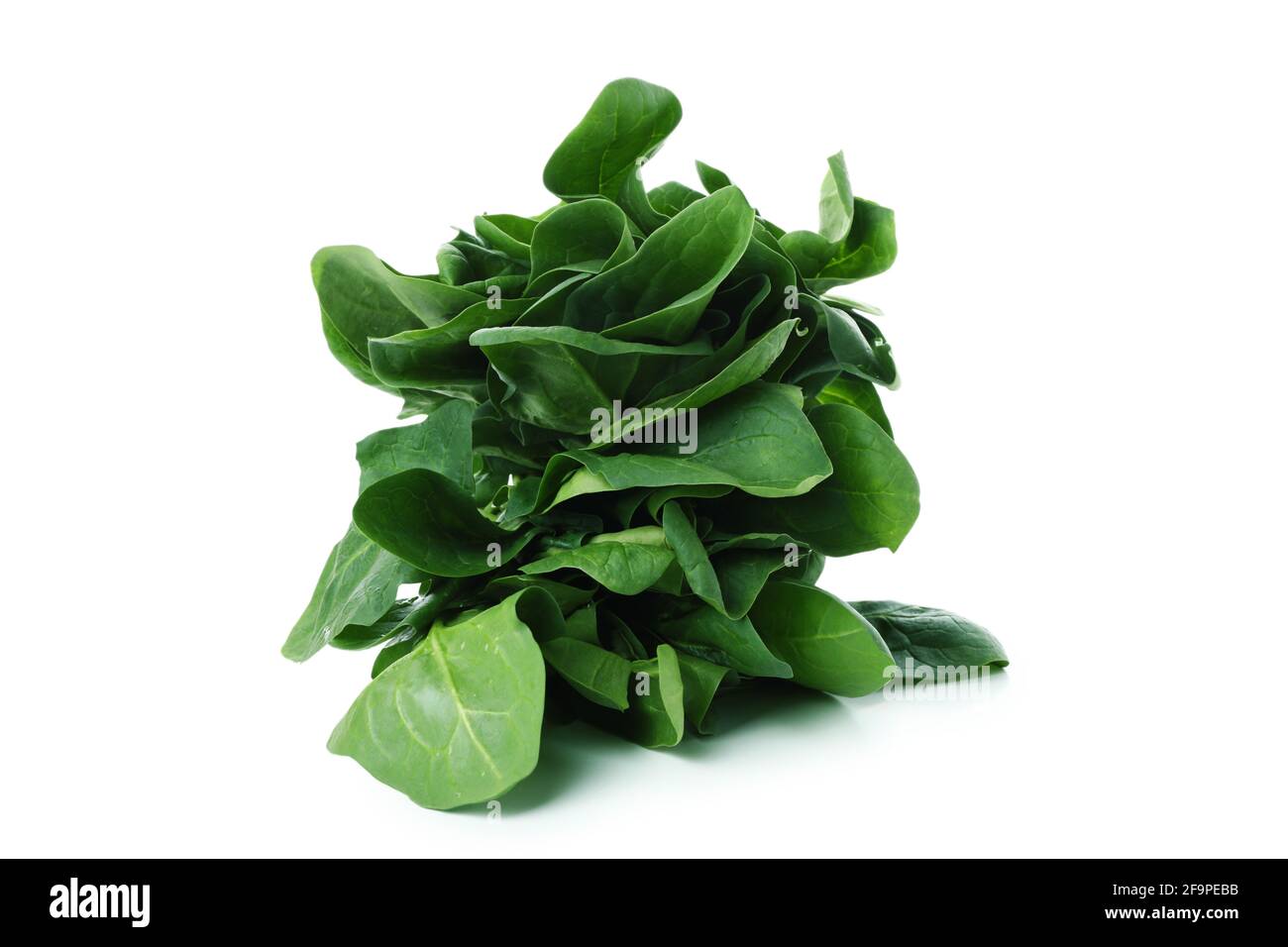 Raw fresh spinach isolated on white background Stock Photo - Alamy