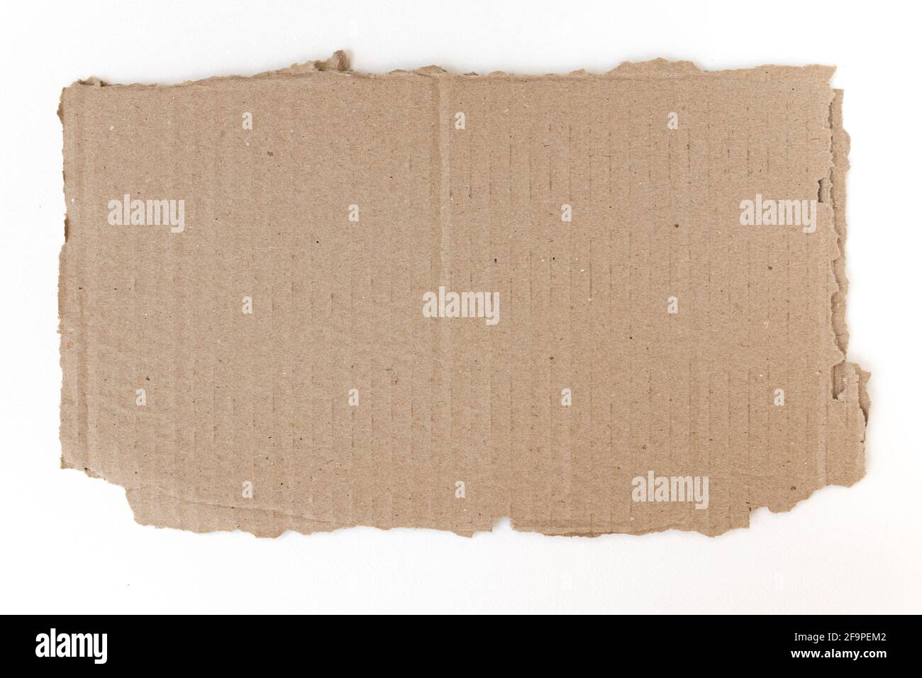 ripped piece of cardboard isolated on white background, cardboard with ...