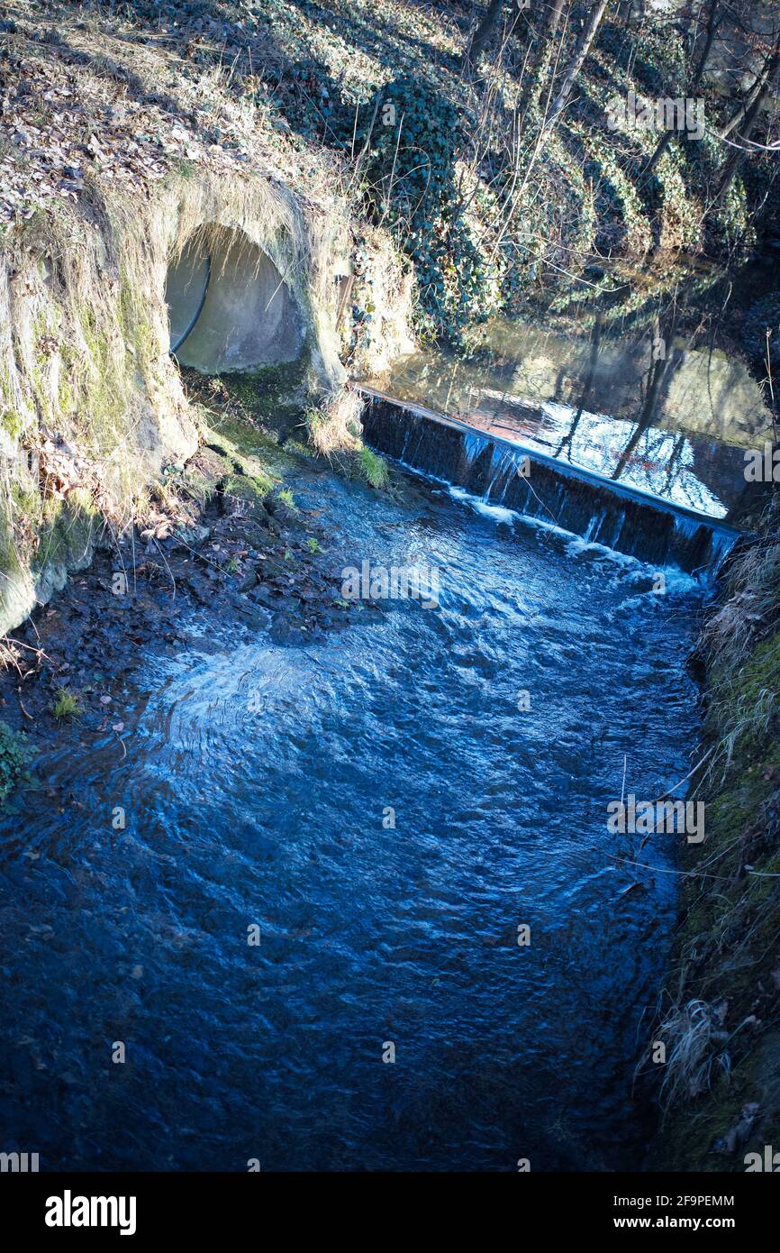 Closeup of water channel in the forest Stock Photo - Alamy