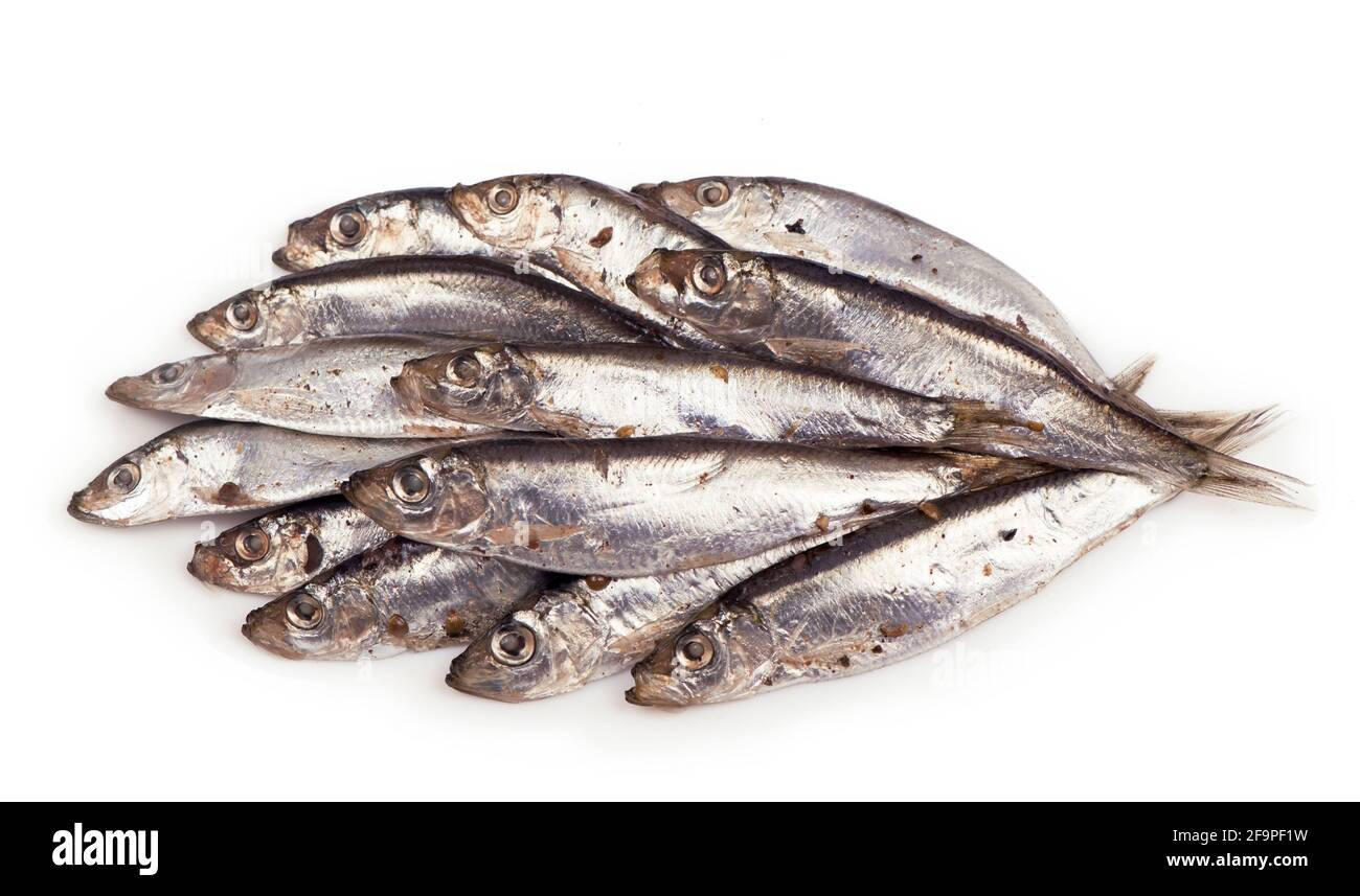 Salty fish sprat isolated on white background Stock Photo - Alamy