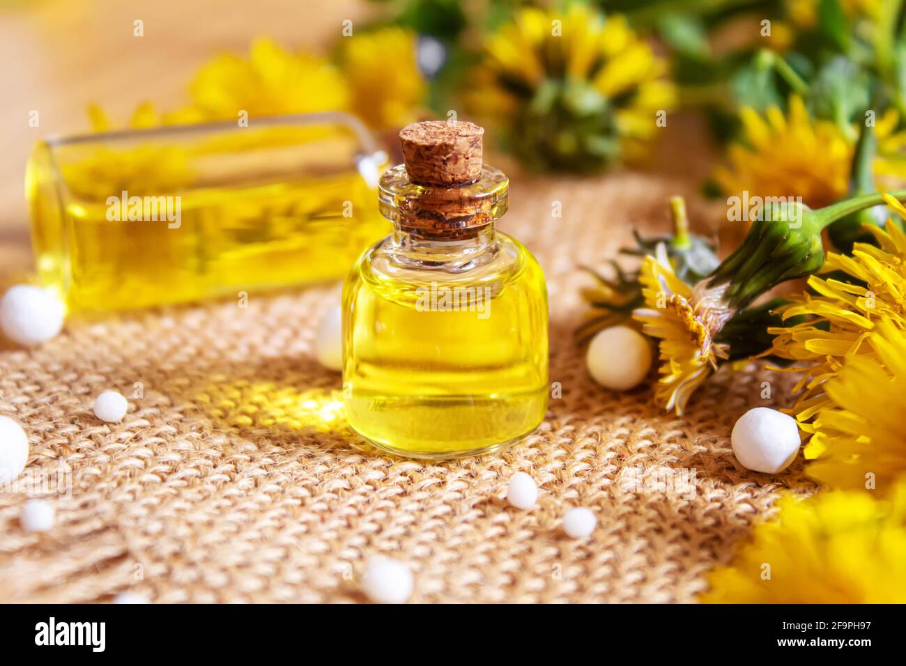 Celandine dandelion extract in a littel bottle, treatment, medicine ...