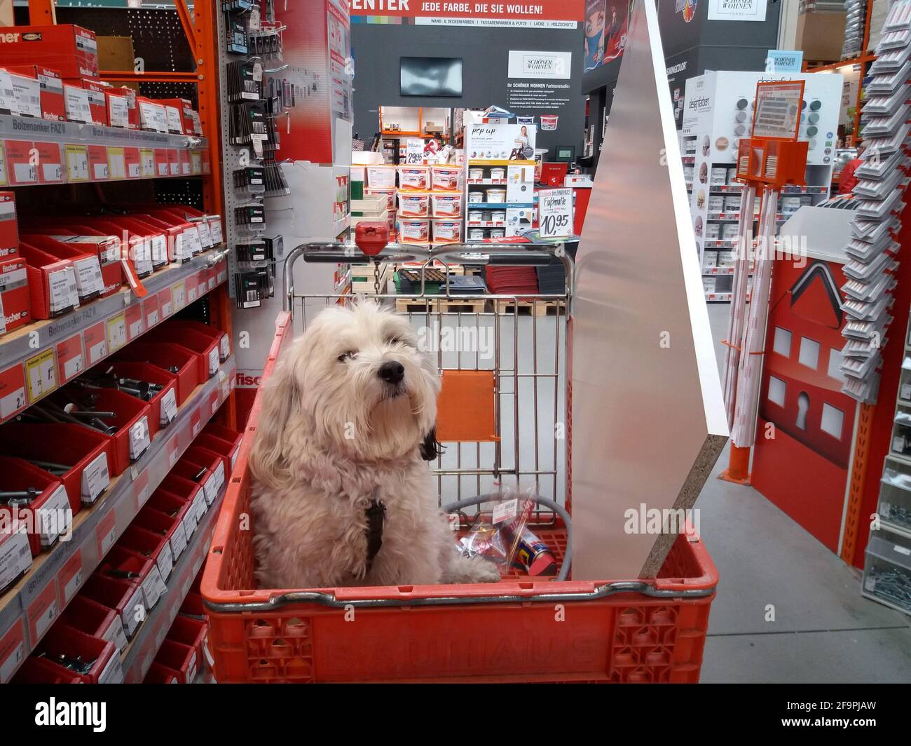 Retail sale of building screws hi-res stock photography and images - Alamy