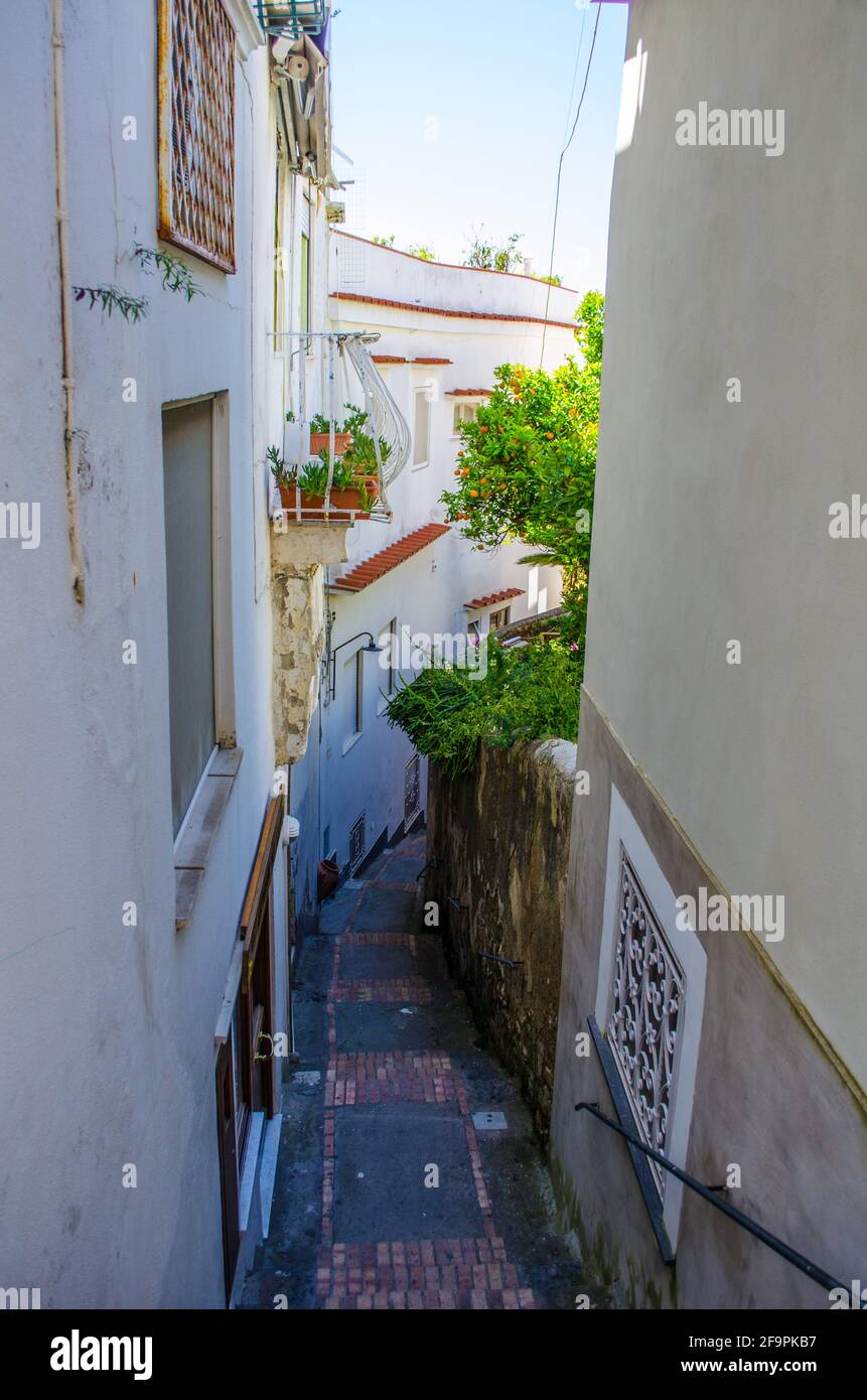 Capri street in a spring season Stock Photo - Alamy