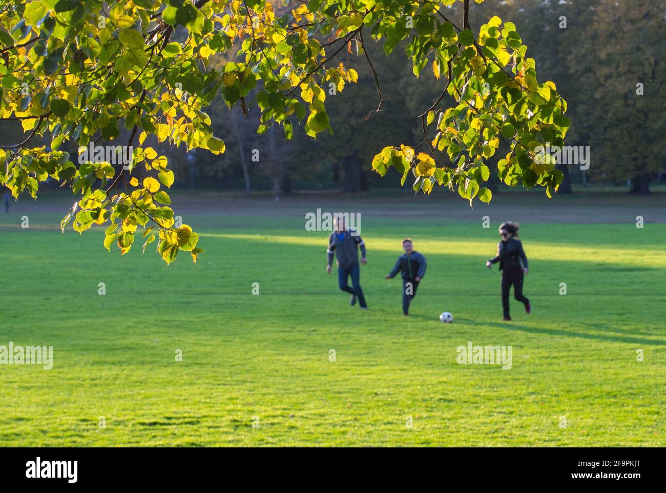 25.10.2020, Berlin, Berlin, Germany - Family playing ball in ...