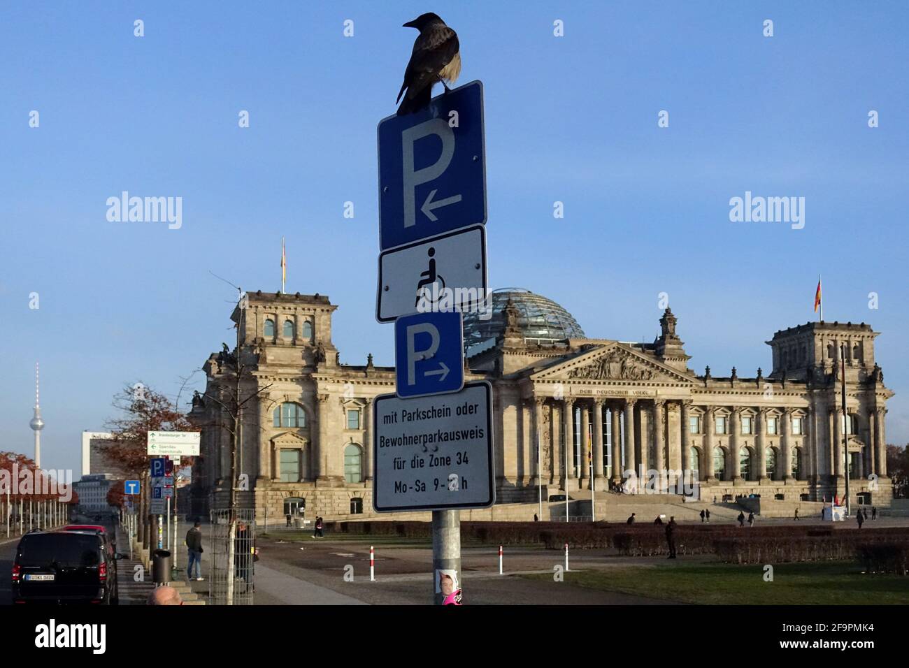 Crow model hi-res stock photography and images - Alamy