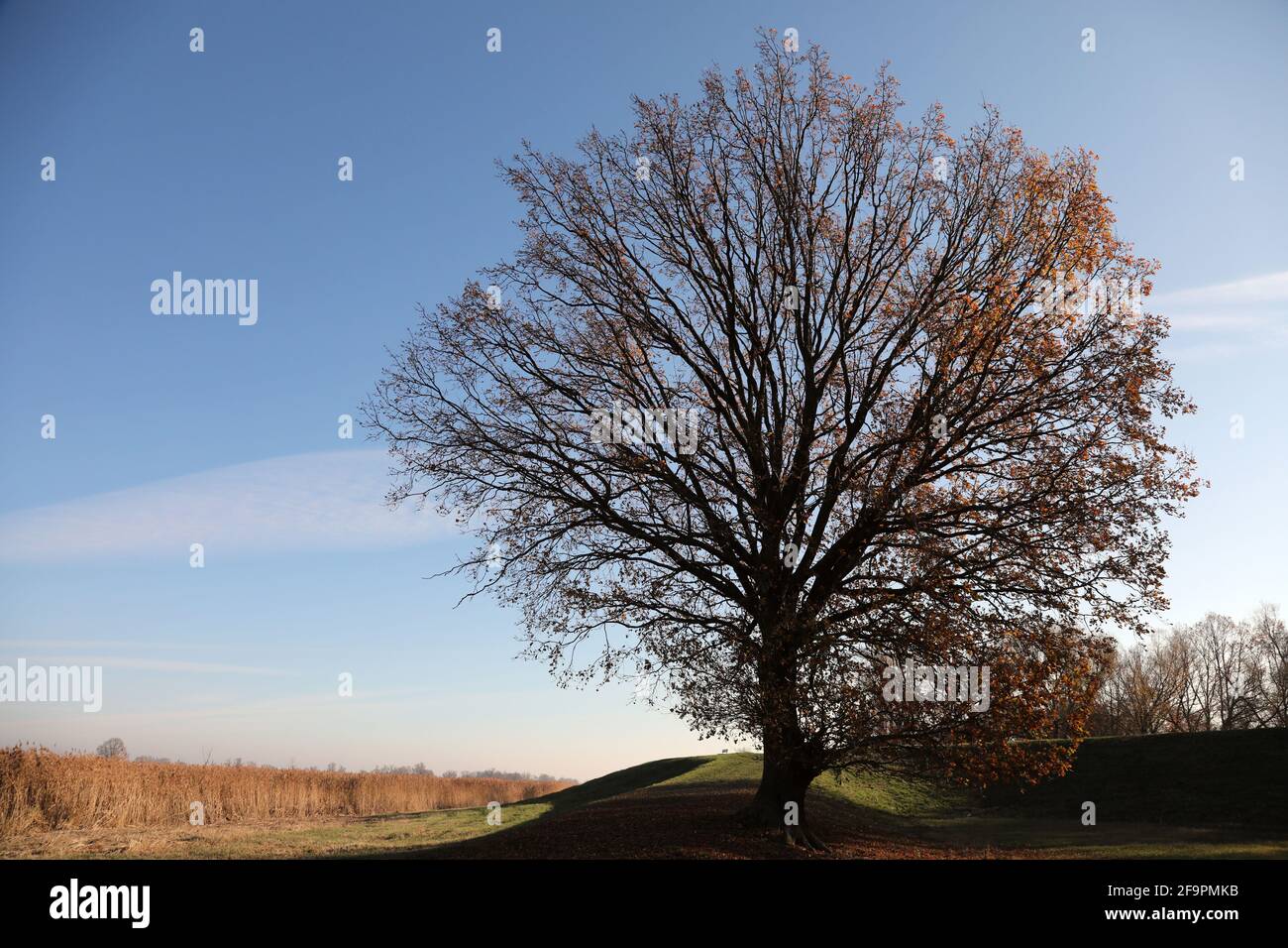 Gross neuendorf hi-res stock photography and images - Alamy