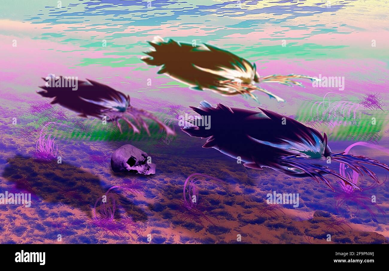 Hunters scavengers hi-res stock photography and images - Alamy