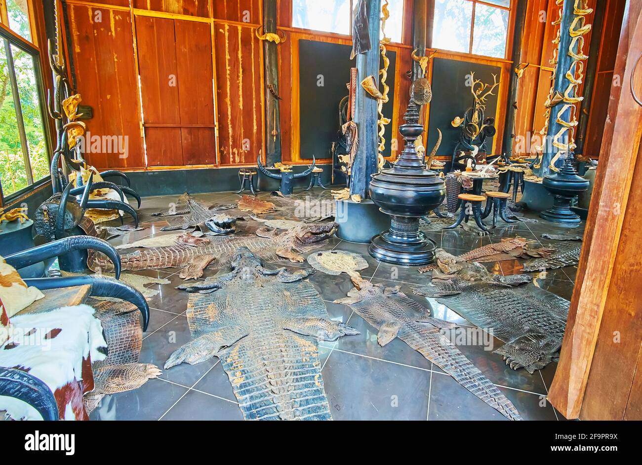 Siam crocodile asia hi-res stock photography and images - Alamy