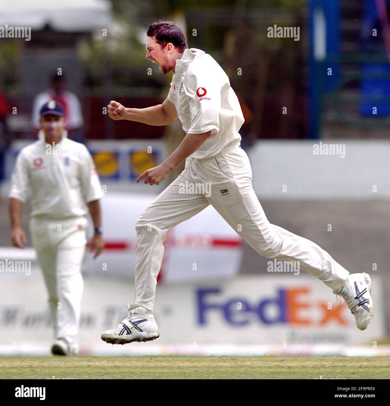 STEVE HARMISON AFTER TAKING THE WICKET OF LARA PICTURE DAVID ...
