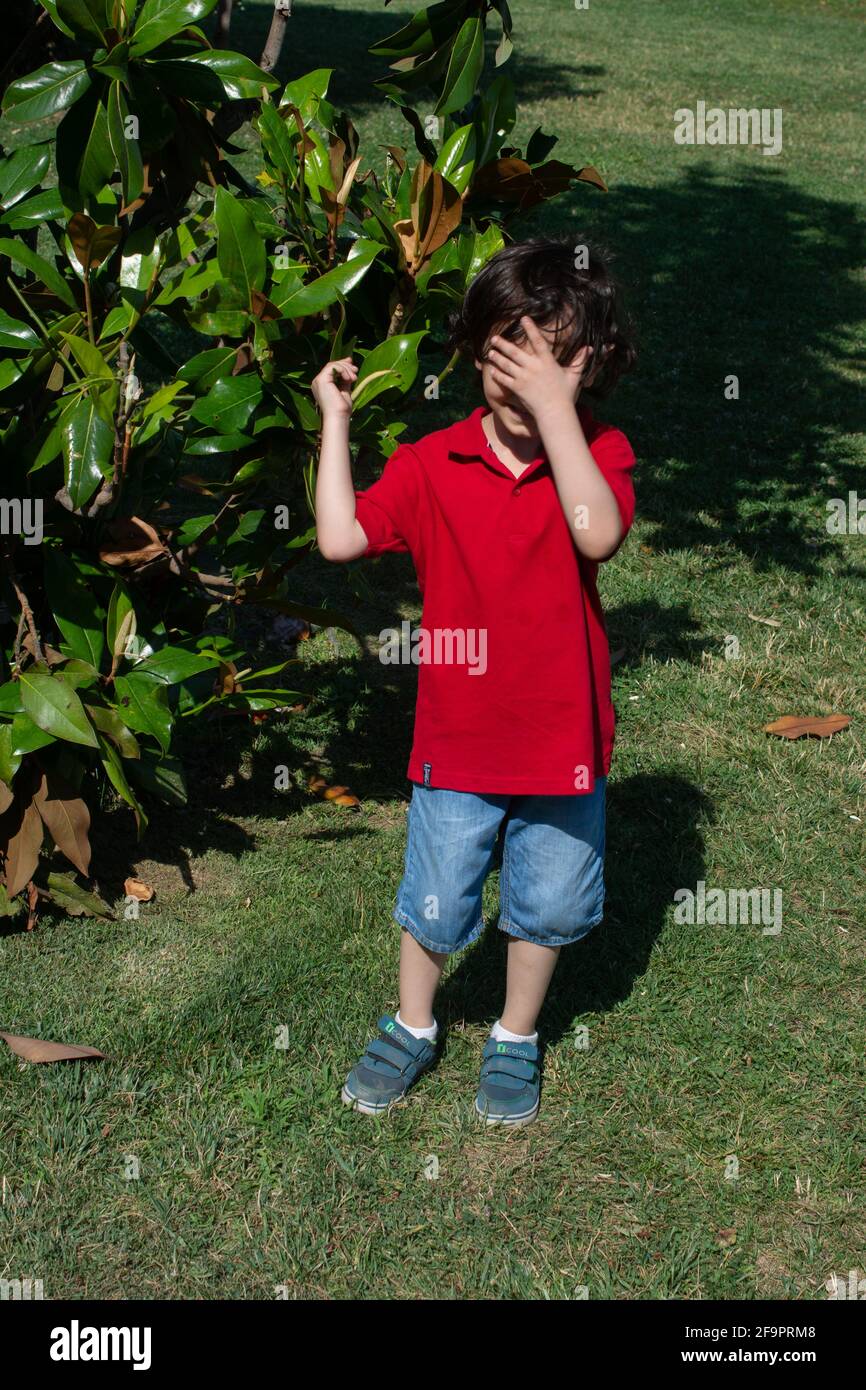 Tree Leaf in Hand. Seasons Concept Stock Photo - Alamy