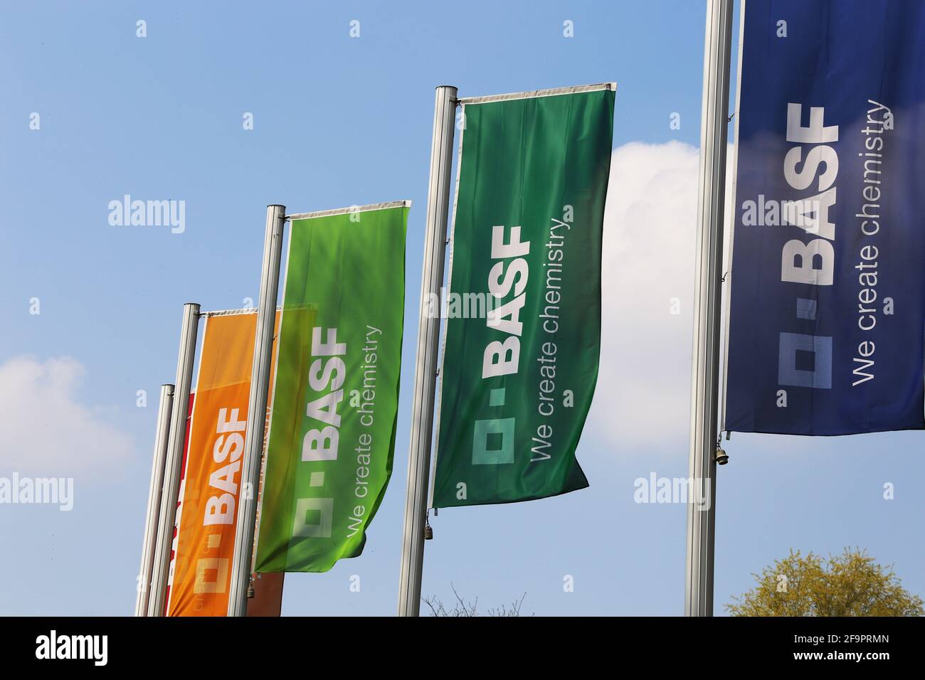 BASF flags in Ludwigshafen, Germany Stock Photo - Alamy