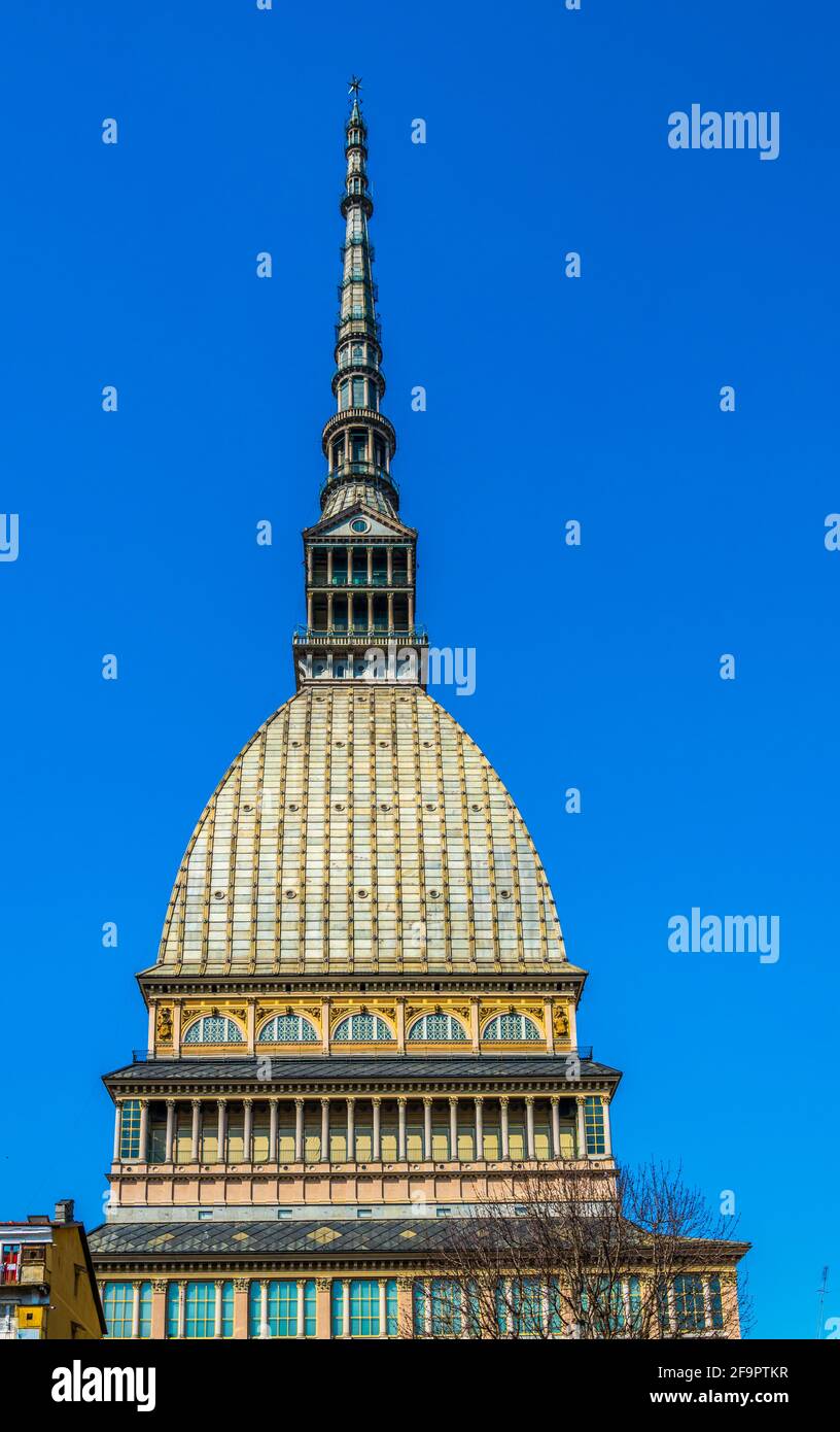 view of the mole antonelliana which is the most famous landmark of the ...
