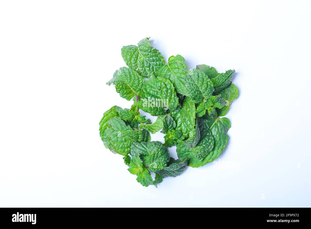 Collection of fresh mint leaves, isolated on white background Stock ...