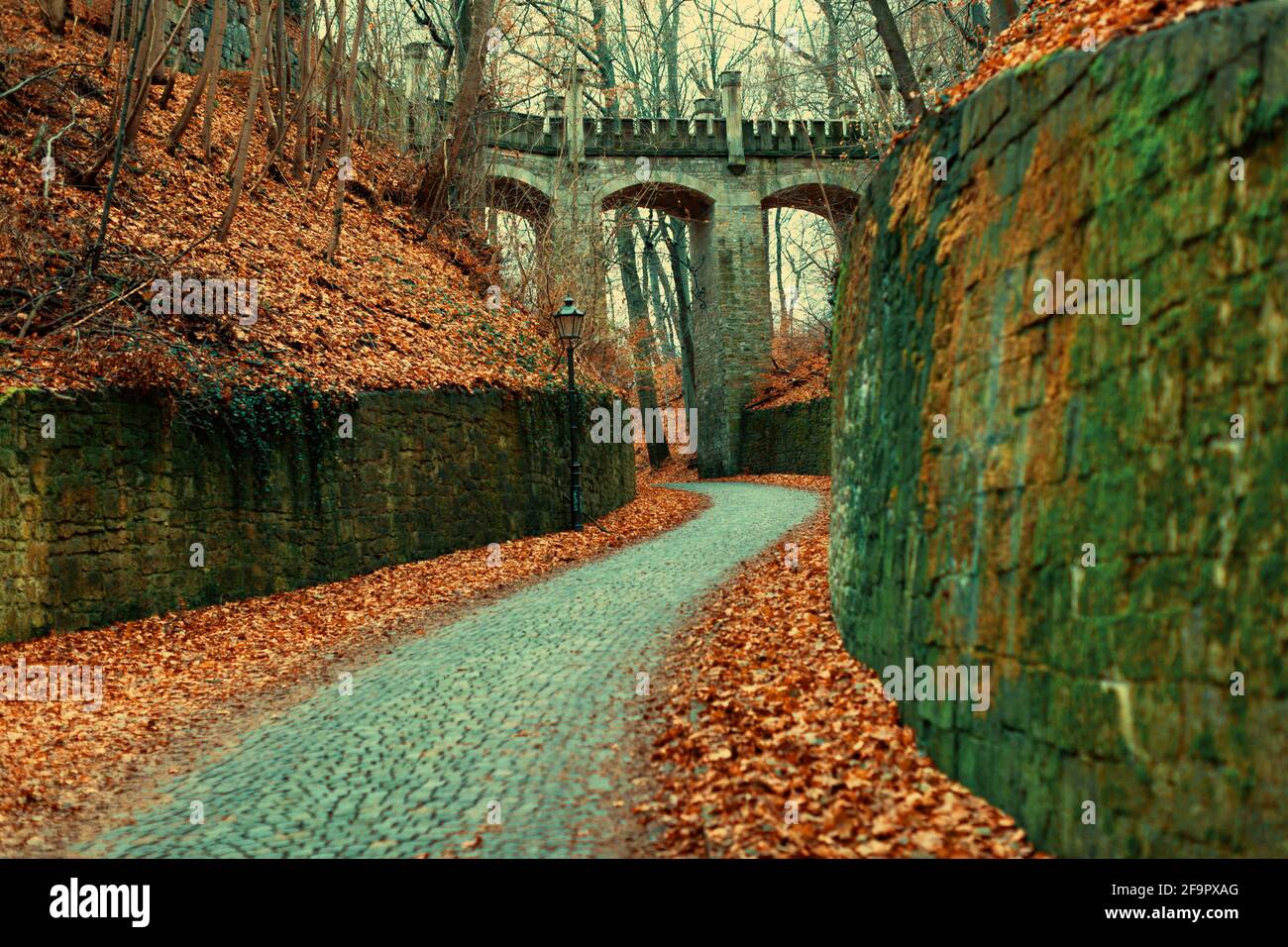 Ancient aqueduct across a ravine in autumn forest Stock Photo - Alamy