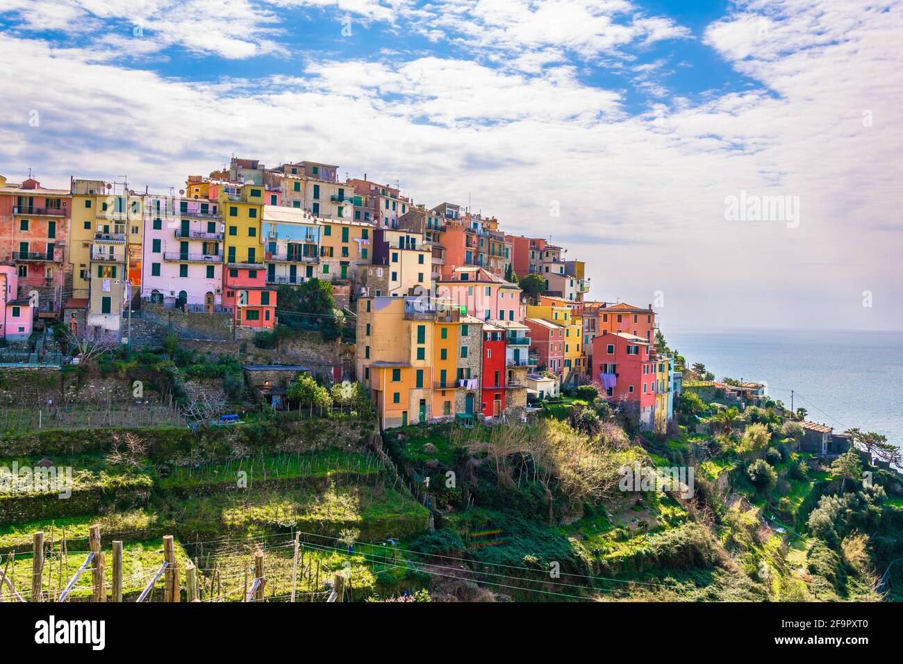 aerial view of corniglia village which is part of the famous cinque ...