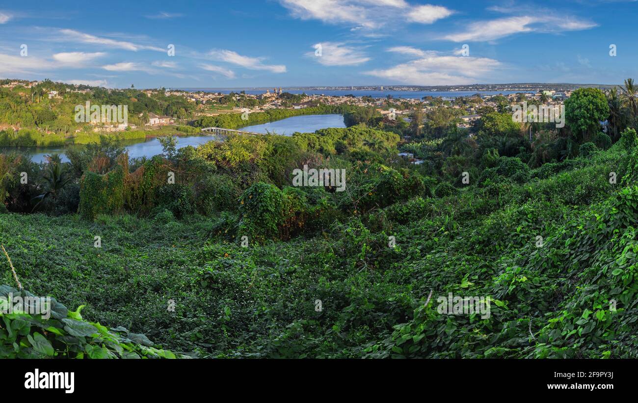 Gorgeous nature wallpaper full of greenery Stock Photo - Alamy