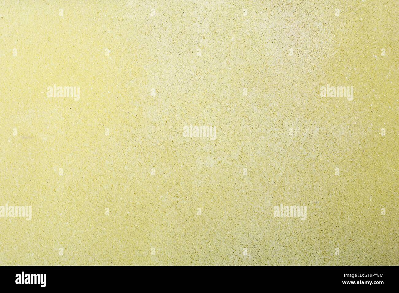 Yellow sponge detail texture, sponge texture background Stock Photo - Alamy