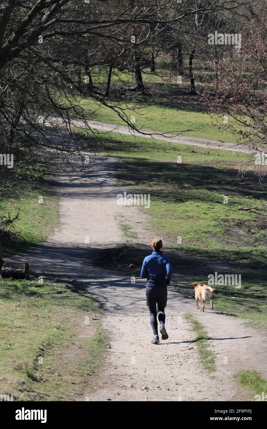 rear view of female runner with dog in countryside Stock Photo - Alamy