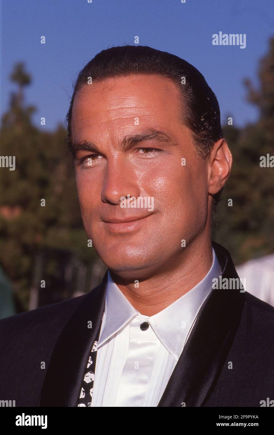 BEVERLY HILLS, CA - DECEMBER 8: Steven Seagal at "Celebrity Paint-In ...