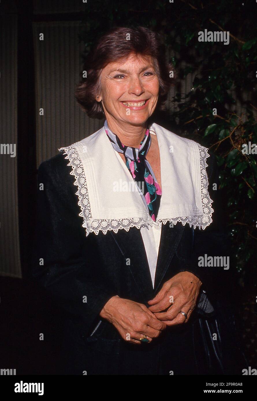 Priscilla pointer hi-res stock photography and images - Alamy