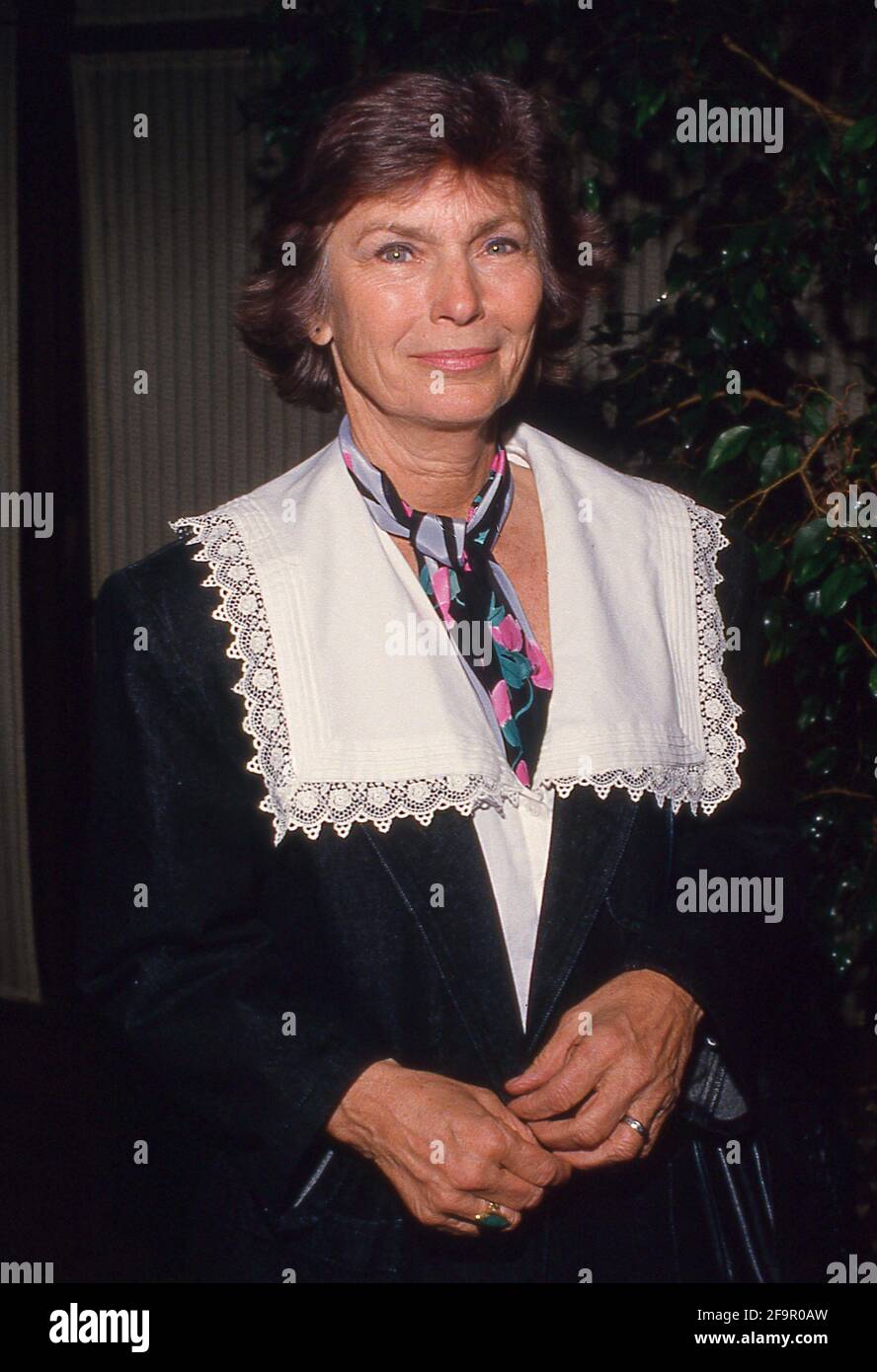 Priscilla pointer hi-res stock photography and images - Alamy