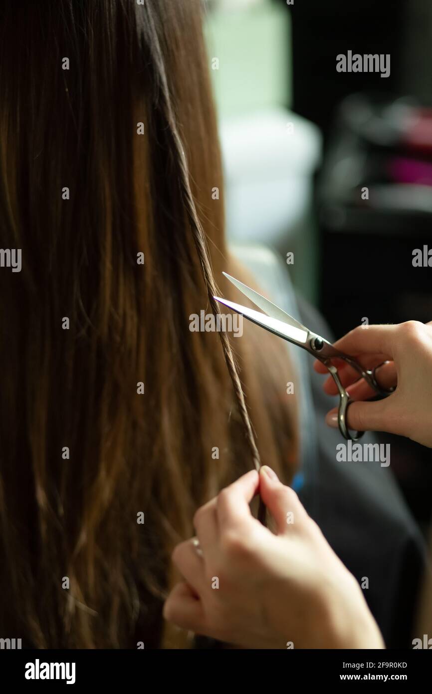 Hands with scissors cut a strand of someone else's brunette hair in ...