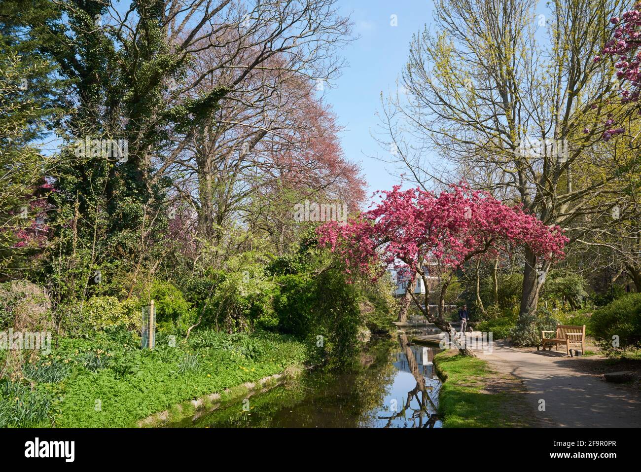 The New River Path in springtime at Canonbury, North London UK Stock ...