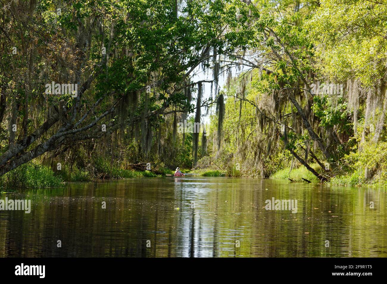 Zipper Canal, narrow waterway, connects 2 lakes, man in kayak, nature ...