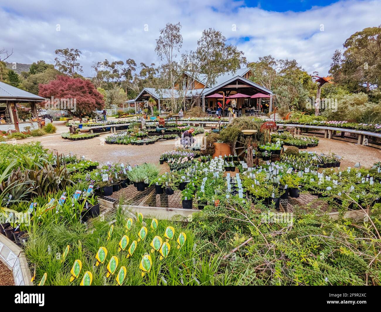 Native tree nursery hi-res stock photography and images - Alamy