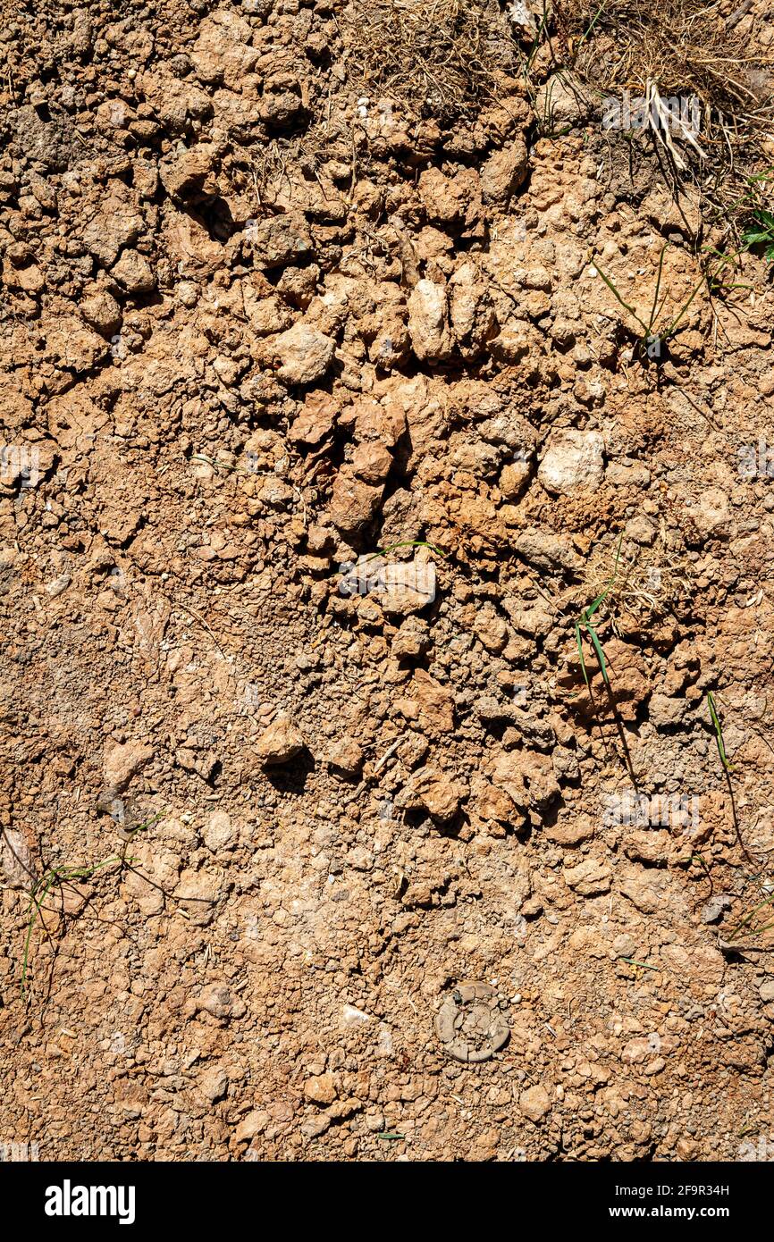 Abstract ground texture with clumps. Soil background Stock Photo - Alamy