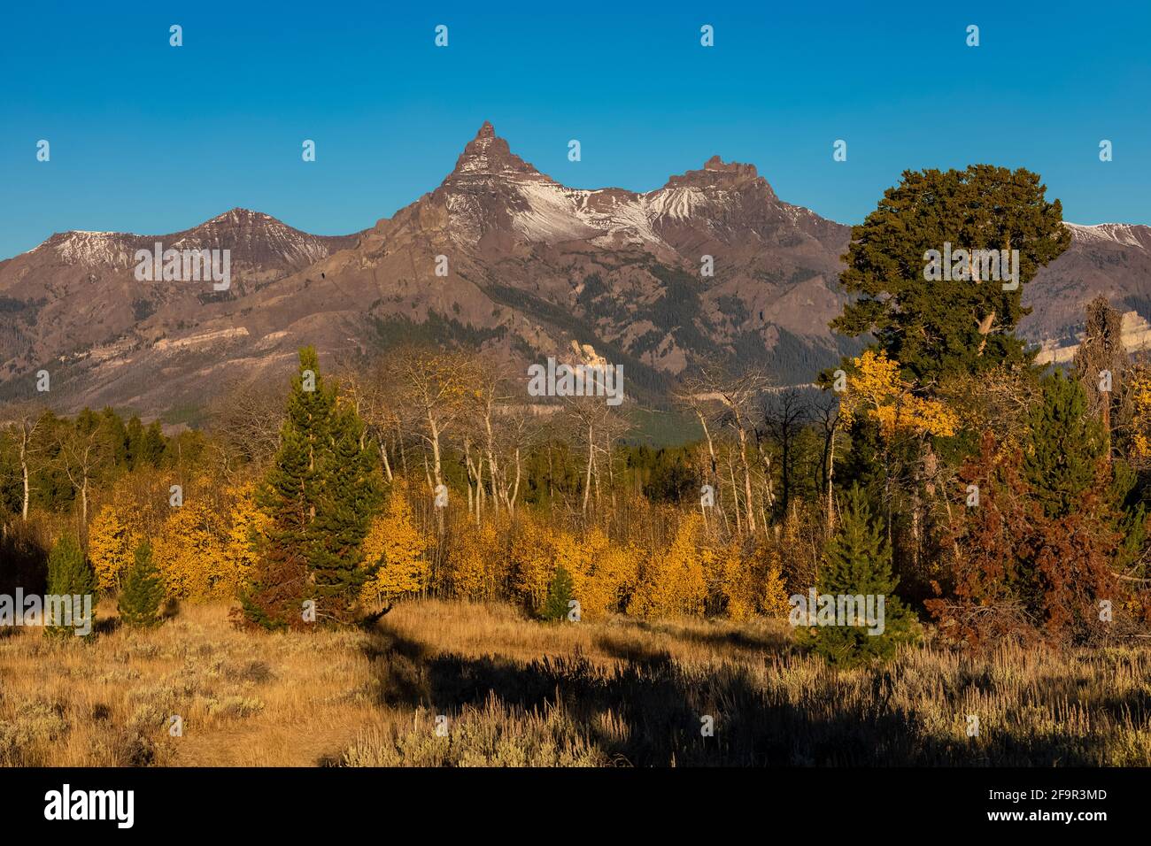 Informal photograph hi-res stock photography and images - Alamy