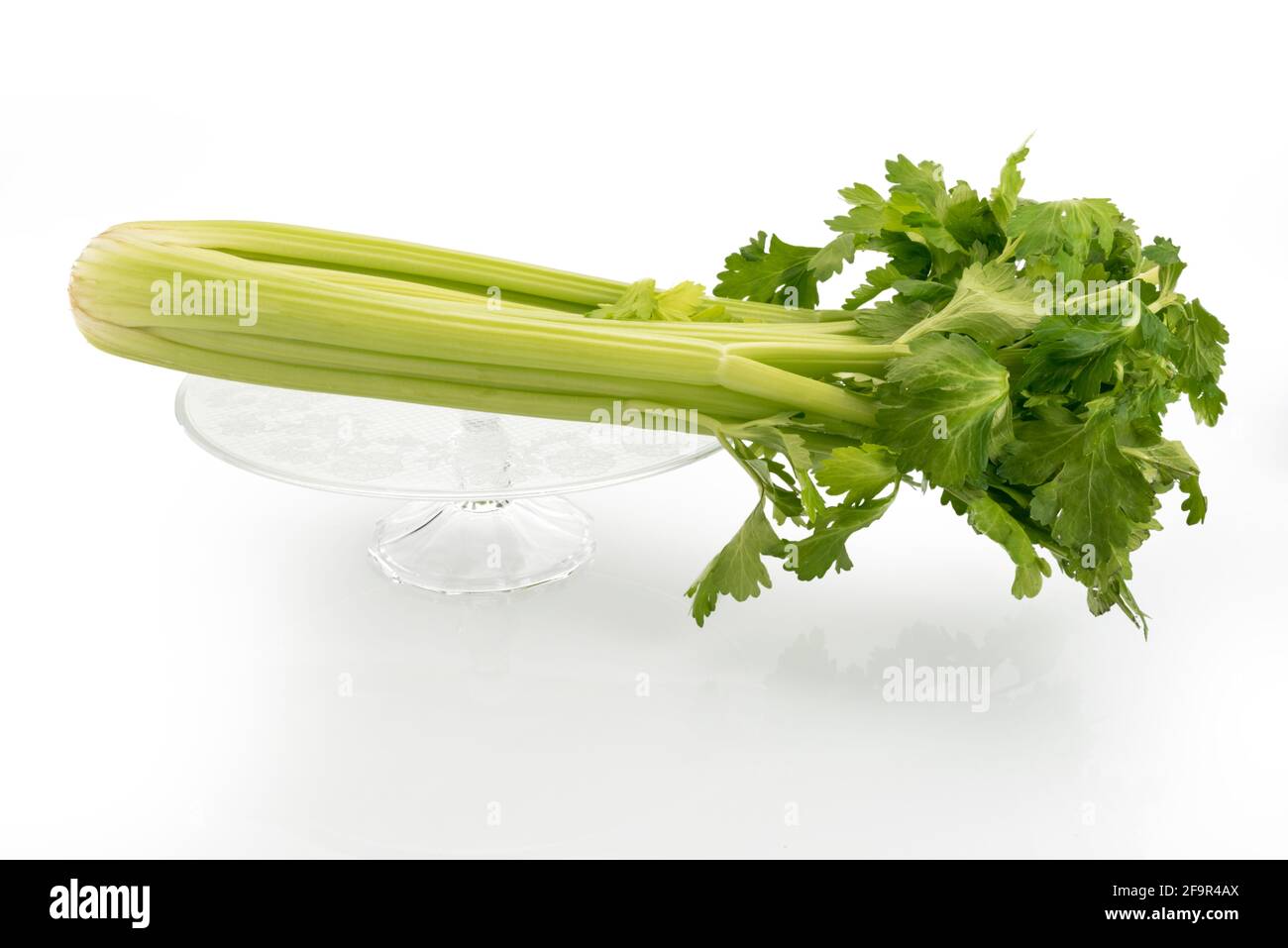 Celery In Gujarati