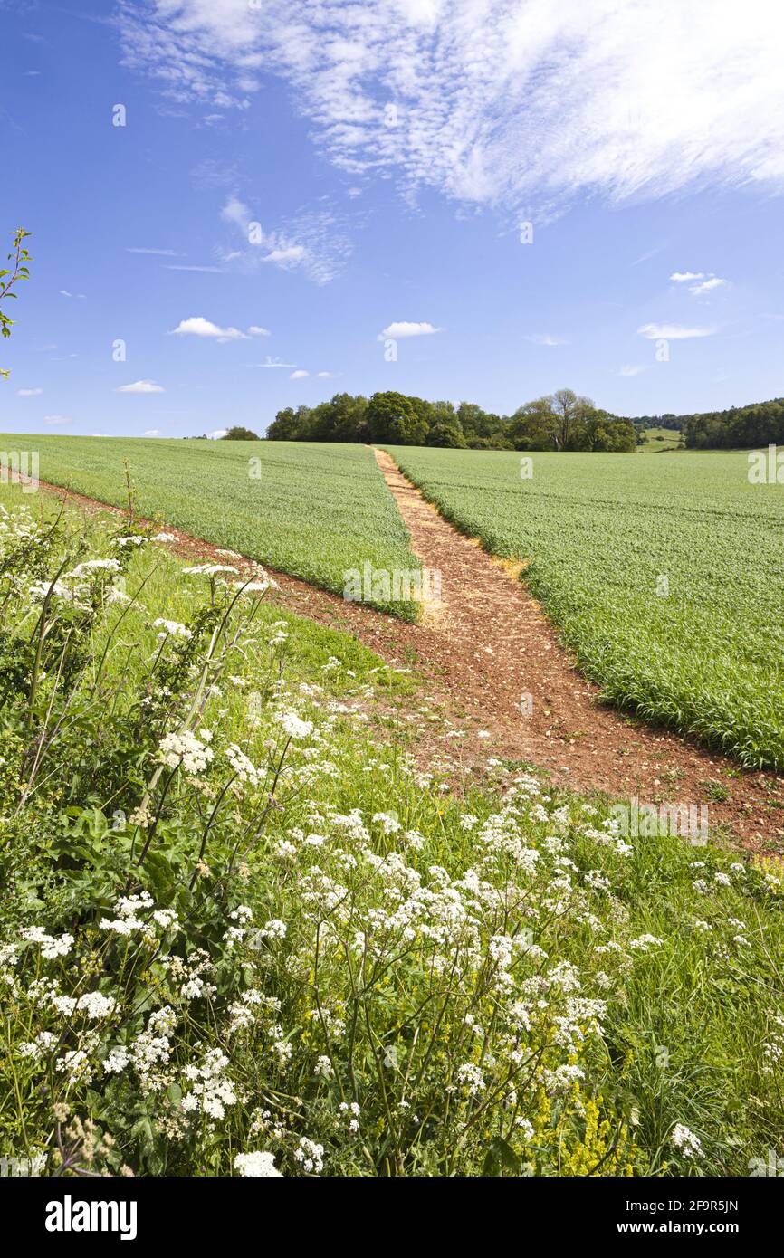 Fossebridge hi-res stock photography and images - Alamy