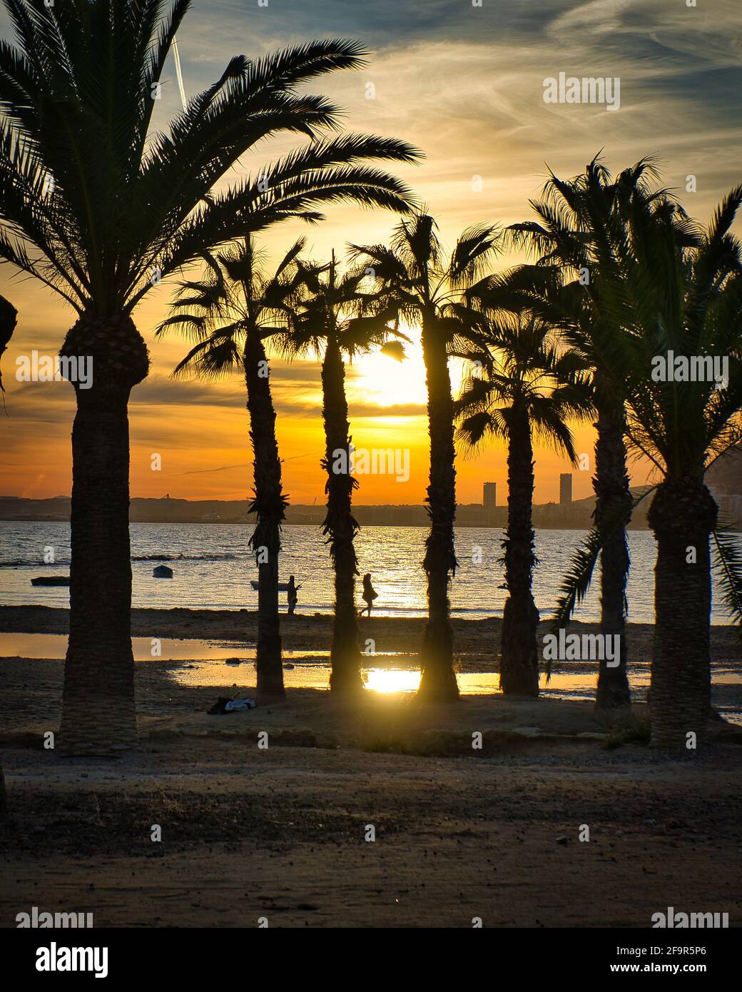 beautiful sunset on a beach in Alicante, located in the Valencian ...